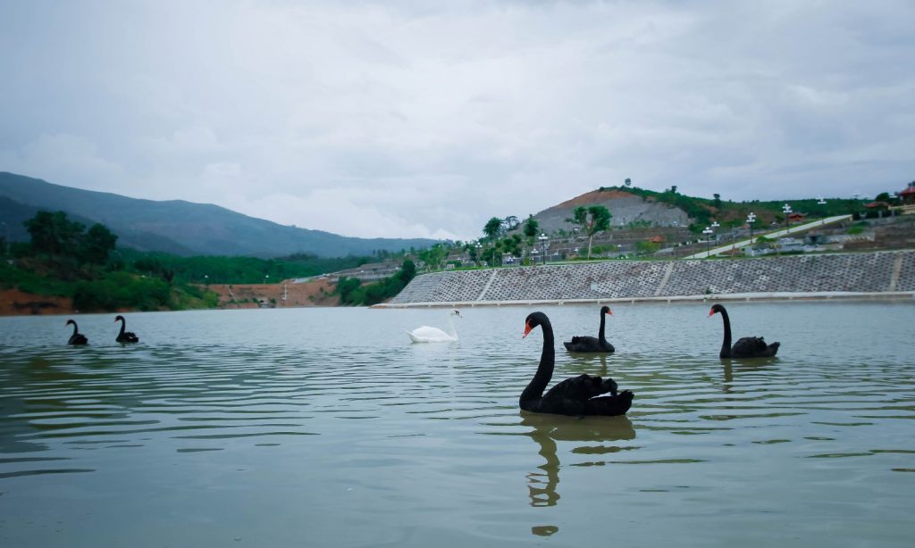 Những Hình Ảnh Đồi Kim Quy Lạc Hồng Viên - Nghĩa Trang Lạc Hồng Viên